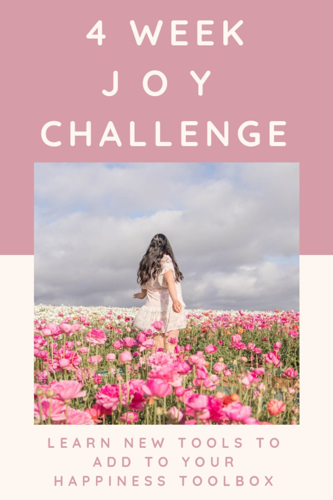 4 Week Joy Challenge - Happily Ever Adventures